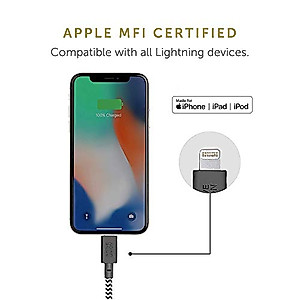 Native Union Belt Cable USB-C to Lightning - 10ft Ultra-Strong Reinforced Cable [MFi Certified] for iPhone 14, iPhone 14 Plus, iPhone 14 Pro, iPhone 14 Pro Max, iPhone 13 and Earlier (Zebra)