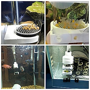 Senzeal Aquarium Cichlids Fish Egg Incubator Tumbler Fish Hatchery Mouth-Brooding 50mm