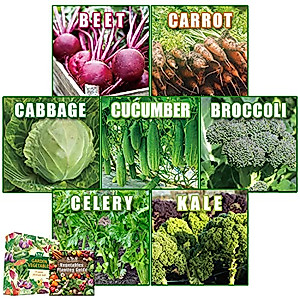 Heirloom Vegetable Seeds Variety 7 Pack — Includes Beet, Broccoli, Cabbage, Carrot, Celery, Cucumber and Kale — Vegetable Garden Starter Kit (7 Variety A)