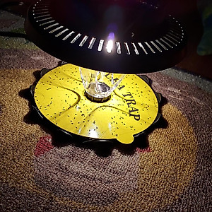 Flea Trap for Inside Your Home Indoor Electric Flea Light Catcher and Killer for House 2 Pack with 8 Sticky Pads Refills and 4 Replacement Lightbulbs