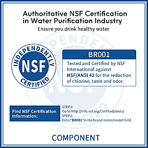 Bringpure MWF Water Filter Replacement for GE Refrigerators, Compatible with GE Smart Water MWF, HDX FMG-1, MWFP, MWFA, Kenm0re 9991, MWFINT,GWF, GSE25GSHECSS, RWF1060, WFC1201, 197D6321P006(3 Pack)
