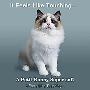 Enimib Oversized King Blanket 120 x 120 Inches, Extra Large Soft Warm Lightweight Flannel Fleece Thick Throw Blanket 10'x 10', Plush Microfiber Fluffy Big Blanket for Couch/Bed/Sofa Camping Grey