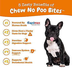 Chew No Poo Bites - Coprophagia Stool Eating Deterrent for Dogs + Cranberry Soft Chews for Dogs - Kidney, Bladder & Urinary Tract Wellness