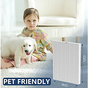 115115 Replacement Filter A Size 21 Compatible with Winix PlasmaWave 5300-2, C535, P300, 6300-2, 5300, 9000 Air Purifier, 2 True HEPA Filter 8 Carbon Pre-Filters