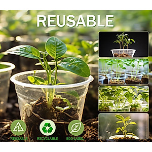 WandaQueen 30 Packs Clear Nursery Pots for Plants, 3.5/4/5 Inch Plant Pot for Planting Plastic Seedling Pots with Drainage Holes Seed Starter Pot High Transparency with 20 Plant Labels. (Transparent)