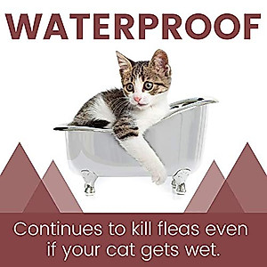 Adventure Plus Flea Prevention for Cats - Topical Flea Treatment for Cats (5-9 lbs) (Pack of 8)