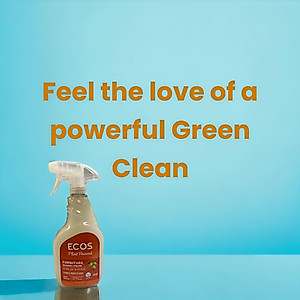 Earth Friendly Products Furniture Polish, 22 Oz