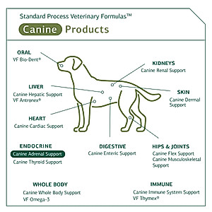 Standard Process Canine Adrenal Support - Canine Support Supplement for Adrenal Health - Nutritional Supplement for Liver & Kidney Support - Powder Dog Supplement Formula to Aid Adrenal Glands - 25 g
