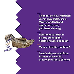 Icelandic+ Plus Small Lamb Horn with Marrow Dog Chew