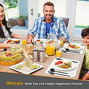 Oliviola 20 Pieces Silverware Set，Matte Black Stainless Steel Flatware Cutlery Set Service for 4, Stain Finish Kitchen Utensil Set，Include Dinner Knives Forks and Spoons Silverware, Dishwasher Safe