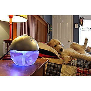 EcoGecko Earth Globe- Glowing Water Air Washer and Revitalizer with Lavender Oil, Silver (75606-Silver)