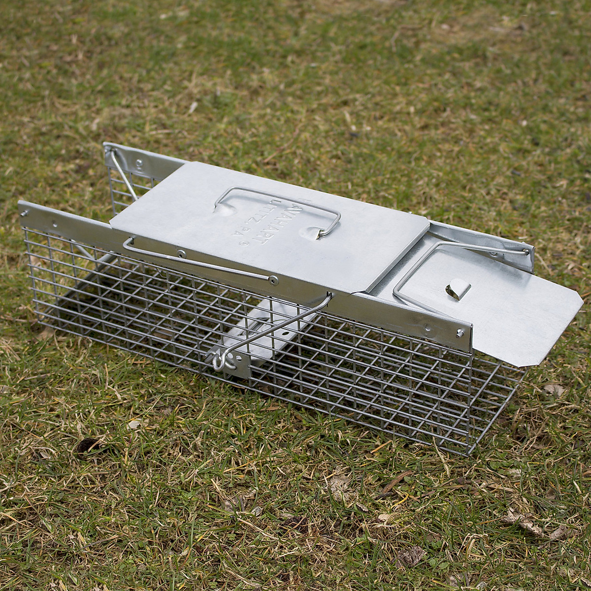 Havahart 1025 Small 2-Door Humane Catch and Release Live Animal Trap for Squirrels, Chipmunks, Rats, Weasels, and Small Animals