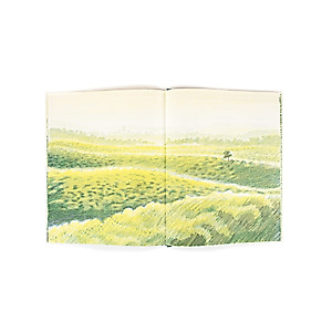 Bandoola: The Great Elephant Rescue