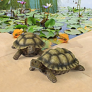 Design Toscano QM91887611 Gilbert The Box Turtle Garden Decor Animal Statue, Set of 2, full color