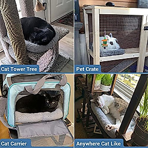 lesypet Cat Beds for Indoor Cats, Small Cat Bed for Curl Sleep Plush Cushion Washable Pet Bed for Small Dog with Anti-Slip Bottom, Small 16.5" x 11"