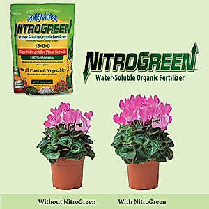SoilMoist NitroGreen 100% Organic Fertilizer 14-oz High Nitrogen 13-0-0 for Plant Vegetable Growth