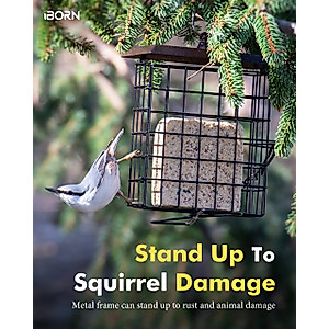 iBorn Suet Feeder Suet Bird Feeders for Outside Hanging,Squirrel Proof Suet Cakes Bird Feeder for Wild Birds,Metal Brown(Pack of 1)