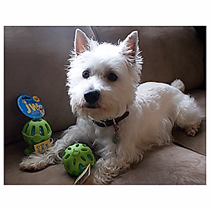 PETMATE DOSKOCIL CO INC Crackle Head Ball MD