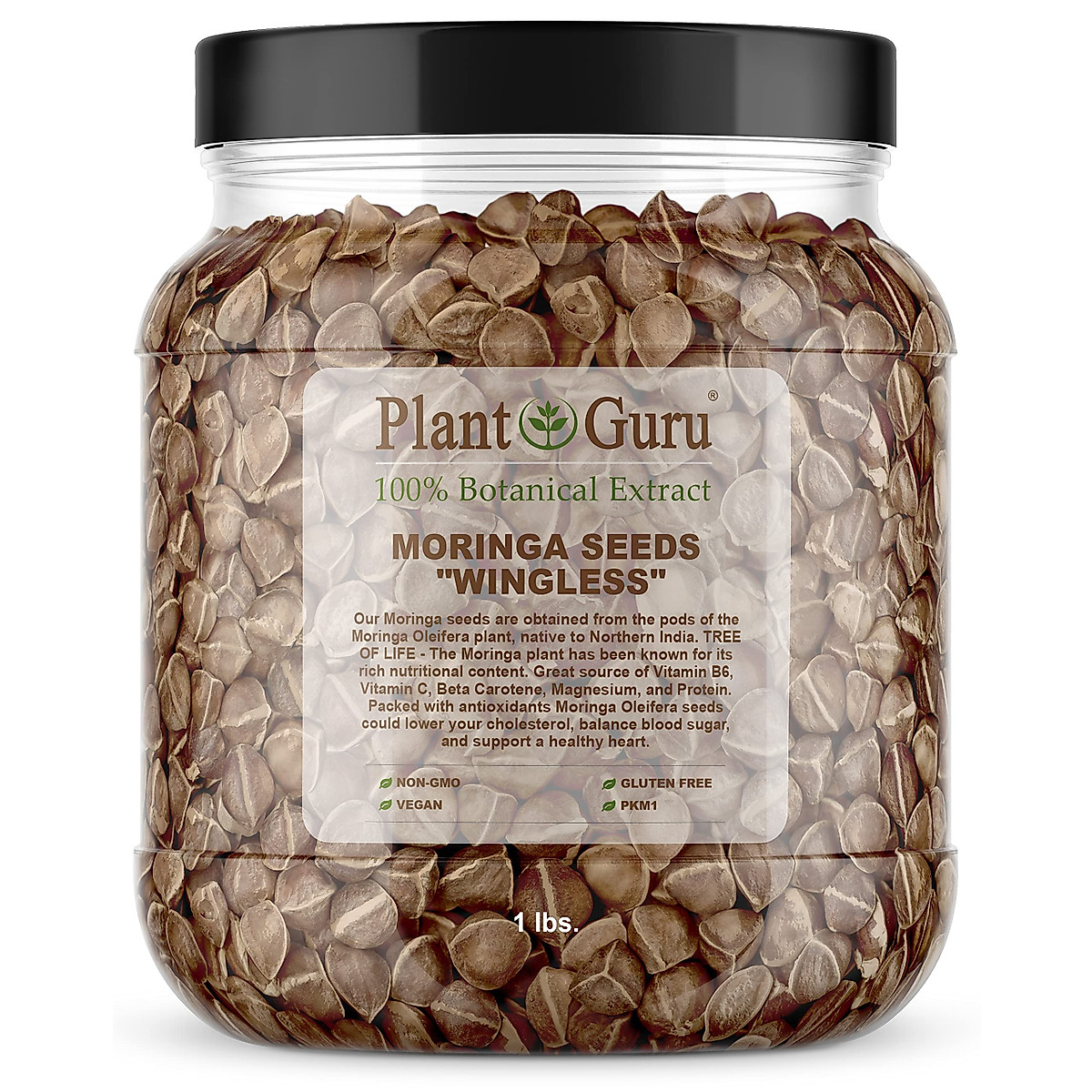 Moringa Seeds Wingless 1 lb. Wide Mouth JAR - PKM1 Variety - Edible Snacking - Planting - Moringa Oleifera - Malunggay - Semillas De Moringa - Drumstick Tree - Non-GMO - 1600 to 2000 Seeds