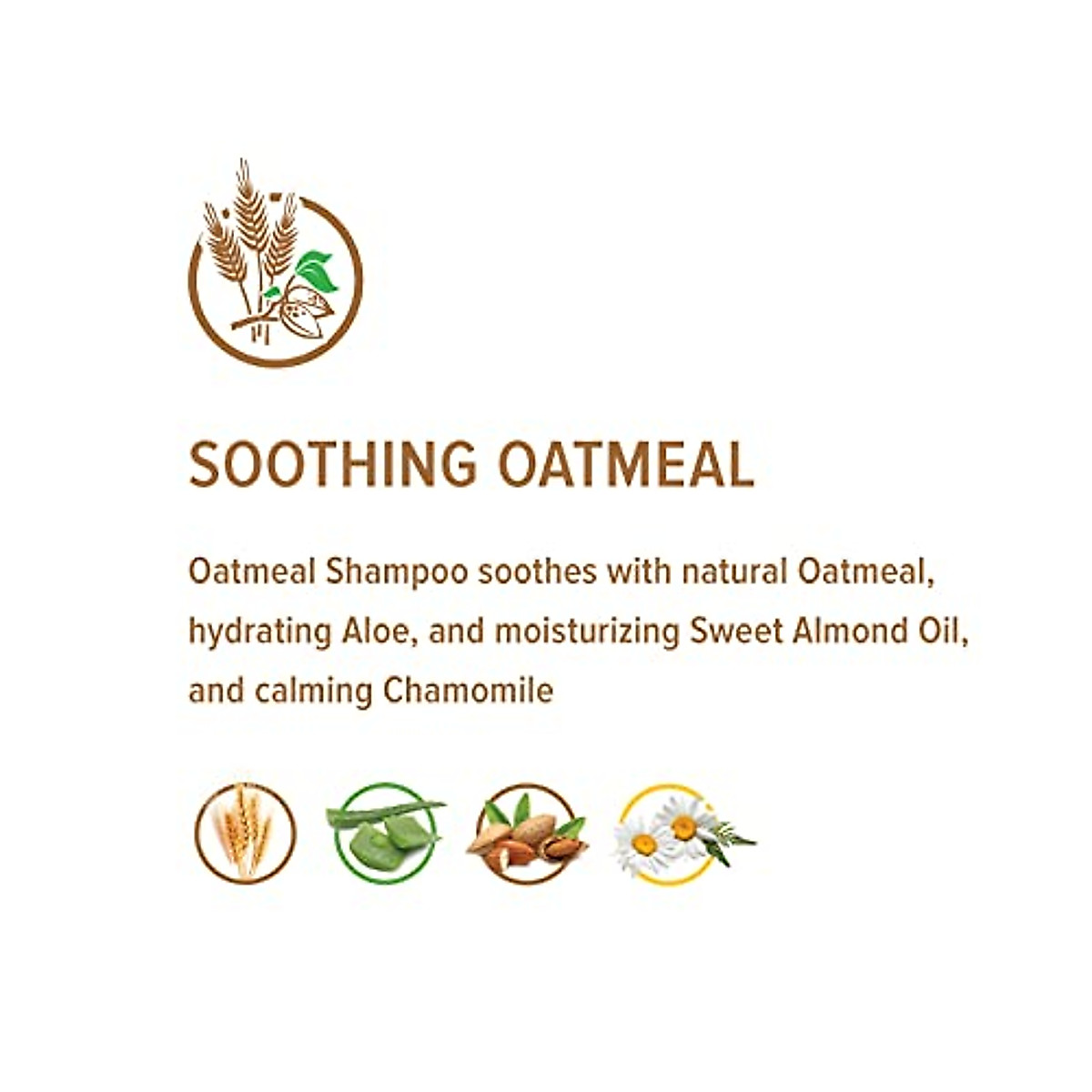 Oatmeal Waterless Foam - Grooming for Dogs and Cats, Soothe Sensitive Skin Formula with Aloe for Itchy Dryness for Pets, pH Balanced, Cruelty Free, Paraben Free, Made in USA