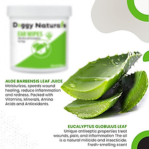 Pet Health Pharma Dog Ear Cleaner Wipes with Aloe and Eucalyptus (100 Count) - Otic Cleanser for Dogs (Made in U.S.A) (100ct Wipes with Aloe & Eucalyptus)