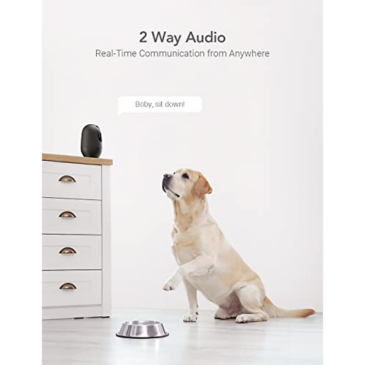 nooie Pet Camera 2K, 360°Pan/Tilt Wi-Fi Baby Monitor with Phone App, Indoor Security Camera, AI Motion Tracking, Night Vision, Two-Way Audio, Compatible with Alexa/Google Home