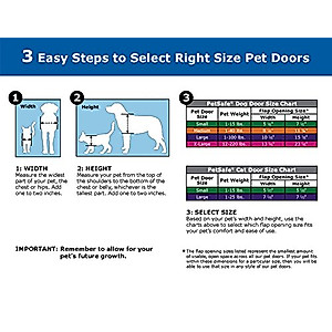 PetSafe Exterior / Interior Cat Door: Staywell Big Cat 4-Way Locking Pet Door Flap for Large Cats - Tinted Privacy Door - Weatherproof, Durable Door Frame - DIY Easy Install with Hardware Kit Included