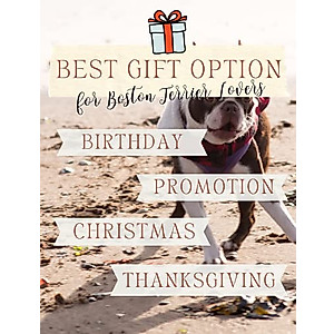 InnoBeta Boston Terrier Gifts for Women, Boston Terrier Blanket, Bed Flannel Fleece Plush Blankets (50"x 65") - Best Boston Terrier Ever