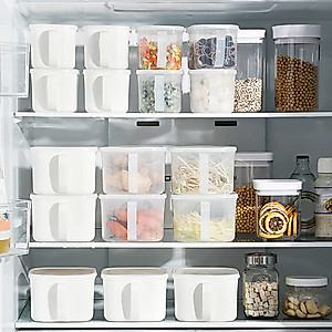 HANABASS 2Pcs Plastic Storage Containers Square Food Storage Organizer with Lid Handle Plastic Food Storage Containers with Lids for Fruits Vegetables Meat Egg