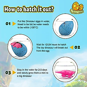 MIIRR Dinosaur Eggs, 30pcs Dino Smashers Eggs Kit as Easter Day Party Favors Games Supplies, Hatching in Water Growing Toys for Boys Girls 4-7