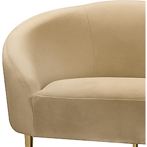 Meridian Furniture 659Camel-L Ritz Collection Modern | Contemporary Upholstered Loveseat with Rich Camel Velvet, Gold Metal Legs, Curved Contemporary Design, 67" W x 31.75" D x 30.5" H, Camel