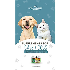 Calcicat D3 Dietary Supplement by Interfarma Corp | Healthy Bones in Cats, & Joint Support Supplement for Cats | with Calcio, Vitamin D3, & Magnesium sulfate | Orange Flavor, Pediatric Drop.