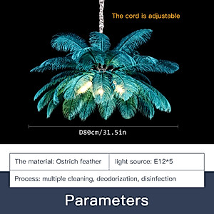 DHFHFMDCJDNN Modern Feather Chandelier for Bedroom, Blue Feather Ceiling Light Fixture with Ostrich Hair Lampshade, Pendant Lights for Living Room, Hotel, Corridor, Foyer