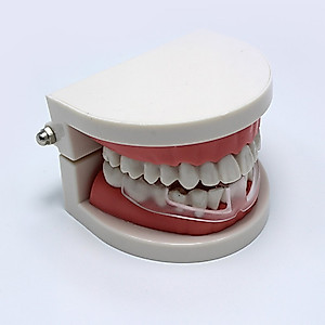 BESPORTBLE 3Pcs Dental Night Protector Dental No More Teeth Grinding Food Grade EVA Supplies for Kids (Transparent)