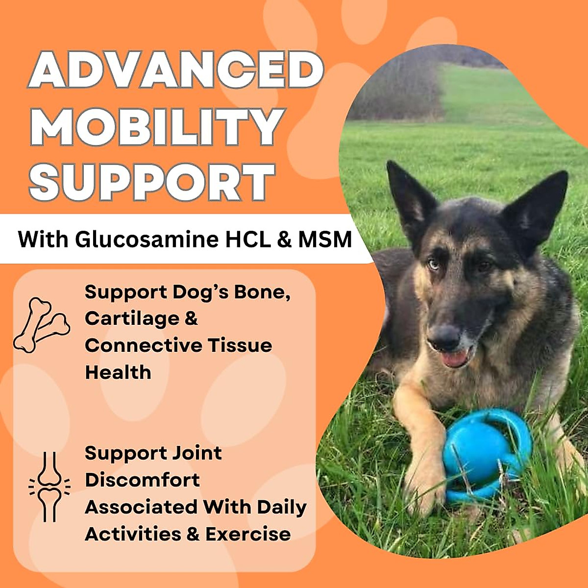 Rock-N-Ace Premium Canine Hip & Joint Support Supplement for Dogs | Glucosamine & Chondroitin MSM Large Dogs Chews | Advanced Mobility Support| Extend Joint Care for Dogs |Vet Recommended | 60 Count