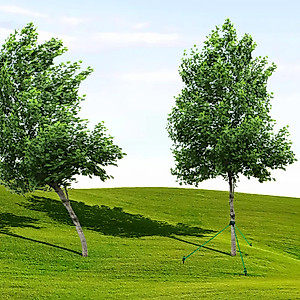 Heavy Duty Tree Stakes and Supports Kit, 3 Pcs 15.8" Tree Straightening for Leaning Tree Hurricane Protection. Include 3 PCS 15.8" Steel Tree Stakes, 3 PCS 15.8" Tree Straps 32.8 FT Rope