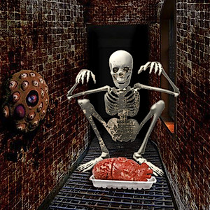 MOLEZU Handmade Halloween Realistic Internal Body Organs Props, Heart, Life Size…