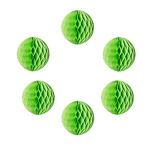 Lime Green Honeycomb Balls Birthday Party Decorations 6pcs 8 inch Hanging Tissue Paper Balls Pom Poms Honeycomb Balls Party Decorations for Birthday Wedding Baby Shower Home Decor