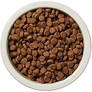 Amazon Brand – Wag Dry Dog Food, Salmon and Brown Rice, 30 lb Bag (Packaging May Vary)