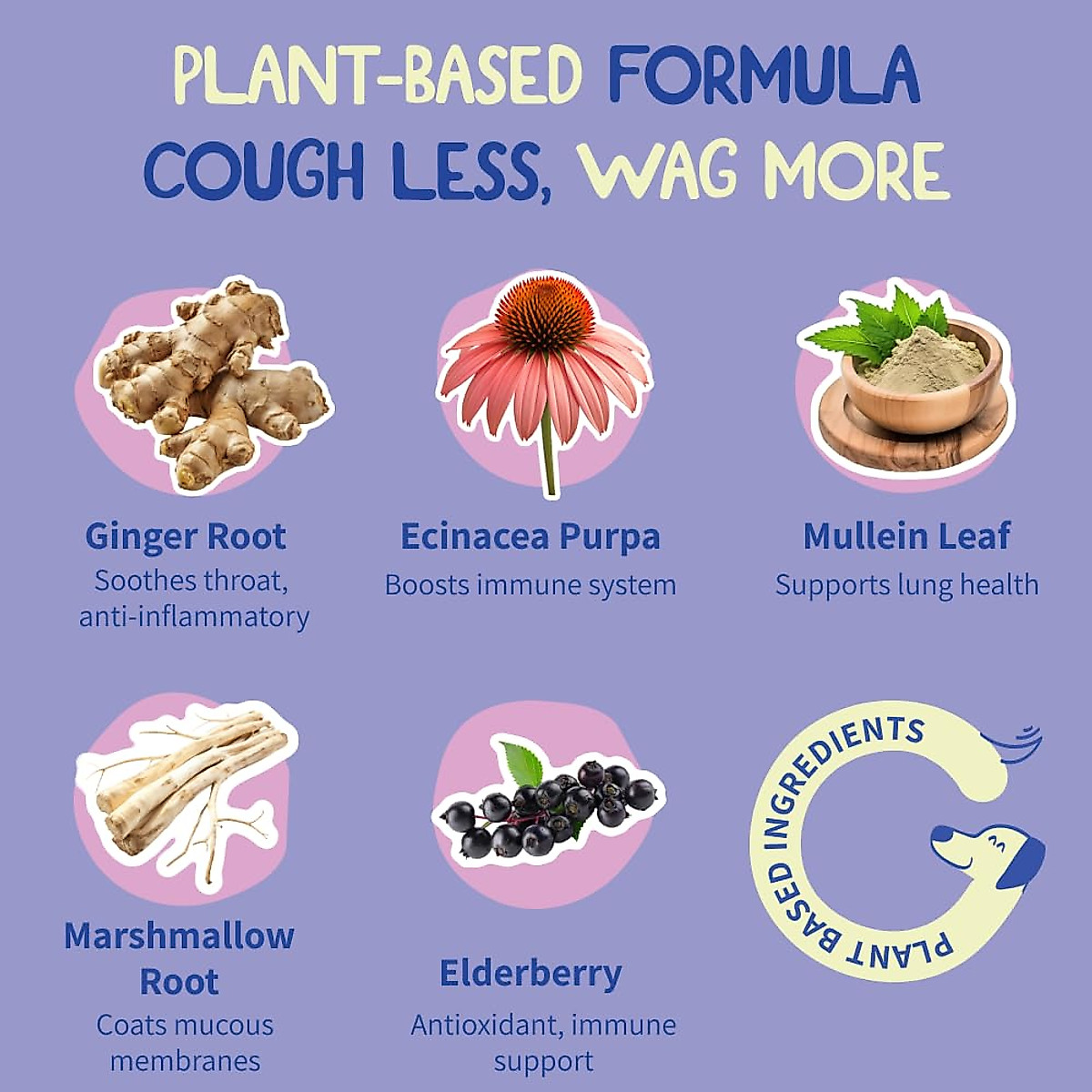 Dog Cough Treatment - Kennel Cough Treatment for Dogs - Gentle Dog Congestion Relief - Kennel Cough Treatment at Home - Natural Dog Cough Suppressant - Liquid Dog Cough Relief