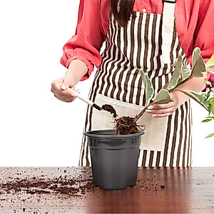 Oubest Plastic Black Plant Nursery Pots 6" 100 pcs 0.5 Gallon for Flower Plant Container Seed Starting Seedlings Reusable Transplanting Succulent Propagation Planting Pots