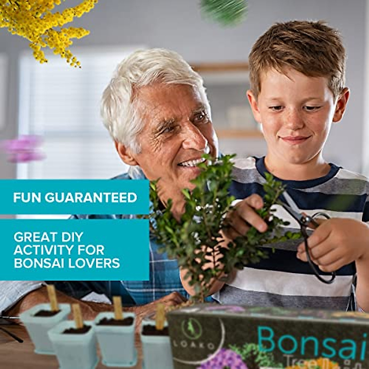 Bonsai Tree Seed Starter Kit - Complete Growing Kit - Grow 4 Bonsai Tree Live Indoor Plant from Seed - Adult Crafts - Grow Your Own Live Plant - Great DIY Kits for Adults - Crafts for Adults