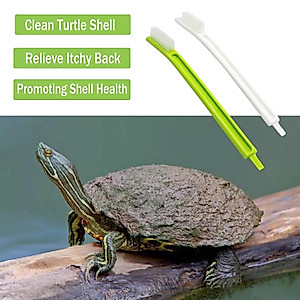 SEZDEKI 4Pcs Turtle Tortoise Cleaning Brush Remove Aquatic Mud Dirt & Contaminants from Tortoises Shells & Promoting Shell Health Turtle Tank Accessories Aquarium Cleaning Tools Kit (4 Pcs)