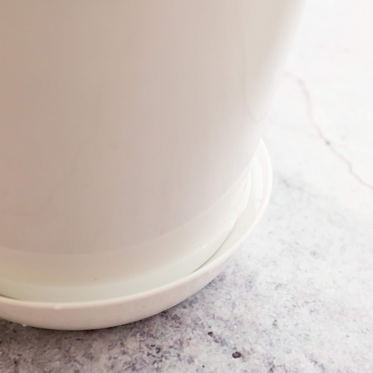 Youngever 8 Pack 5.5 Inch Plastic Planters Indoor Flower Plant Pots, Classic Decorative Gardening Pot with Drainage Holes (White with Saucers)