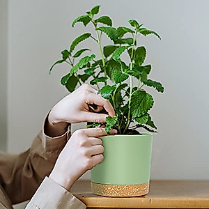 QCQHDU Plant Pots Set of 2 Pack 5 inch,Planters for Indoor Plants with Drainage Holes and Removable Base,Saucer Modern Decorative for Outdoor Garden Planters(Green 5in)