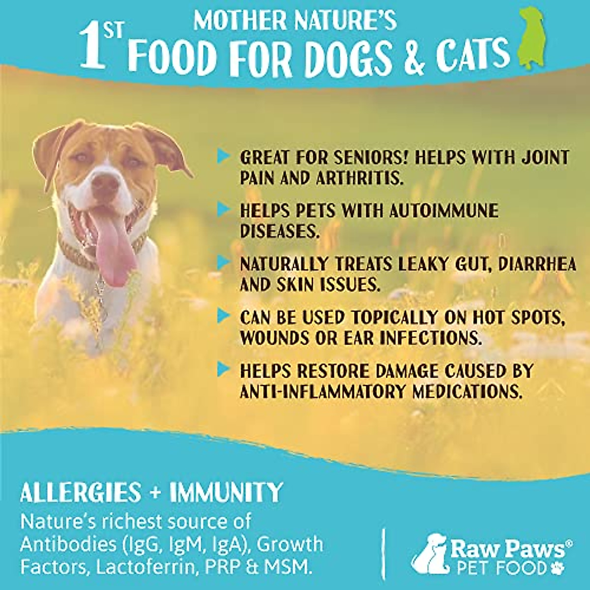Raw Paws Pet Bovine Colostrum for Dogs Allergies & Immune Support, 5-oz - Made in USA, Pure Bovine Colostrum Powder for Cats - Bovine Colostrum Dogs Daily Supplement - Colostrum for Puppies & Kittens