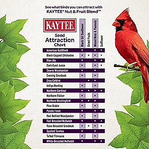 Kaytee Nut and Fruit Blend, 20-Pound