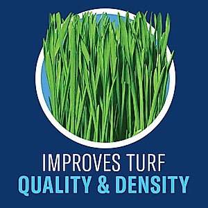 BioAdvanced Slow Mow Lawn Conditioner, Granules, 10.4 lb