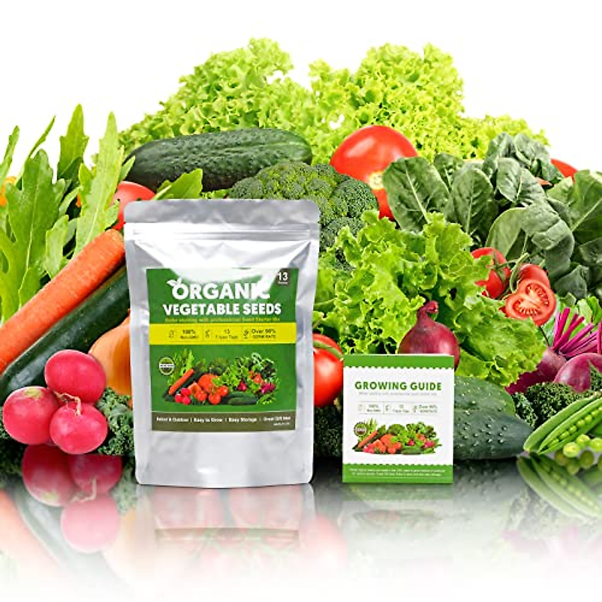 Organic Heirloom Vegetable Seeds Kit, 13 Varieties Packets|6000+ Seeds for Planting, Non-GMO, Spinach, Broccoli, Tomato, Lettuce, Pumpkin, Carrot, Beet, Squash, Peas, Cucumber, Arugula and More