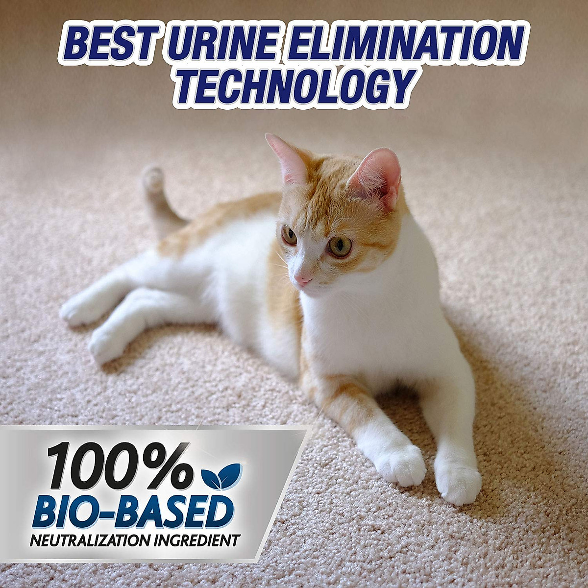 Reckitt Benckiser Urine Destroyer 32 OZ Spray Bottle Citrus 6 Per Each Carton